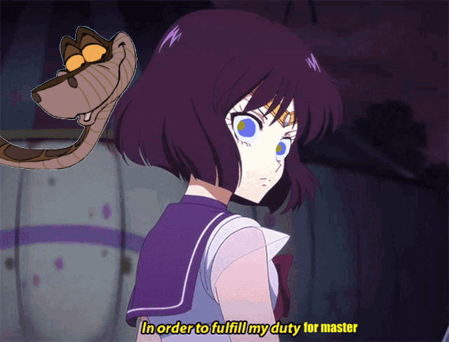 Sailor Saturn And Kaa By The Hero Of Winds 99 On Deviantart