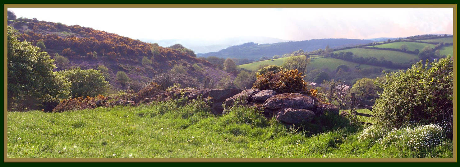 Bluebell Hill by greensap on DeviantArt