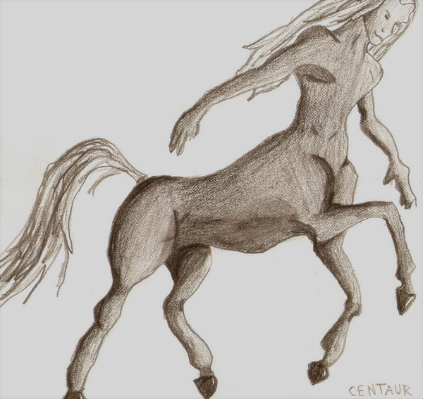 Centaur by candyginger13 on DeviantArt