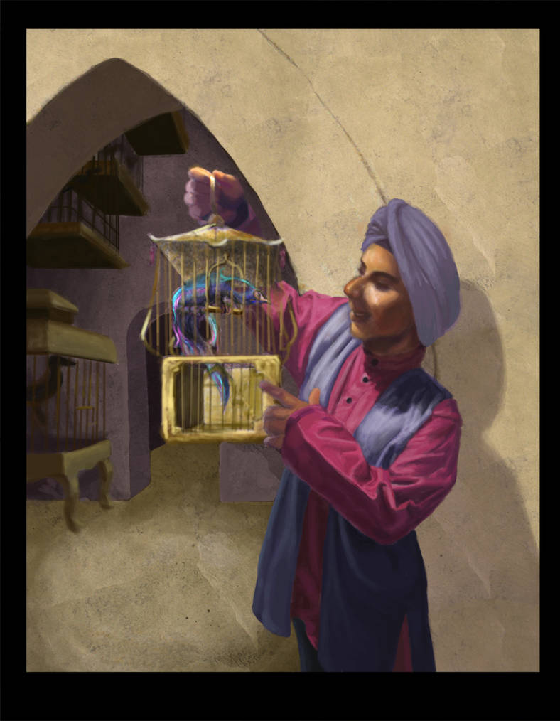 The Bird Collector by MasterpieceLost on DeviantArt