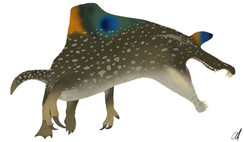 Draw Dinovember Day 25: Spinosaurus by sphenaphinae on DeviantArt Draw Dinovember Day 25: Spinosaurus by sphenaphinae on DeviantArt