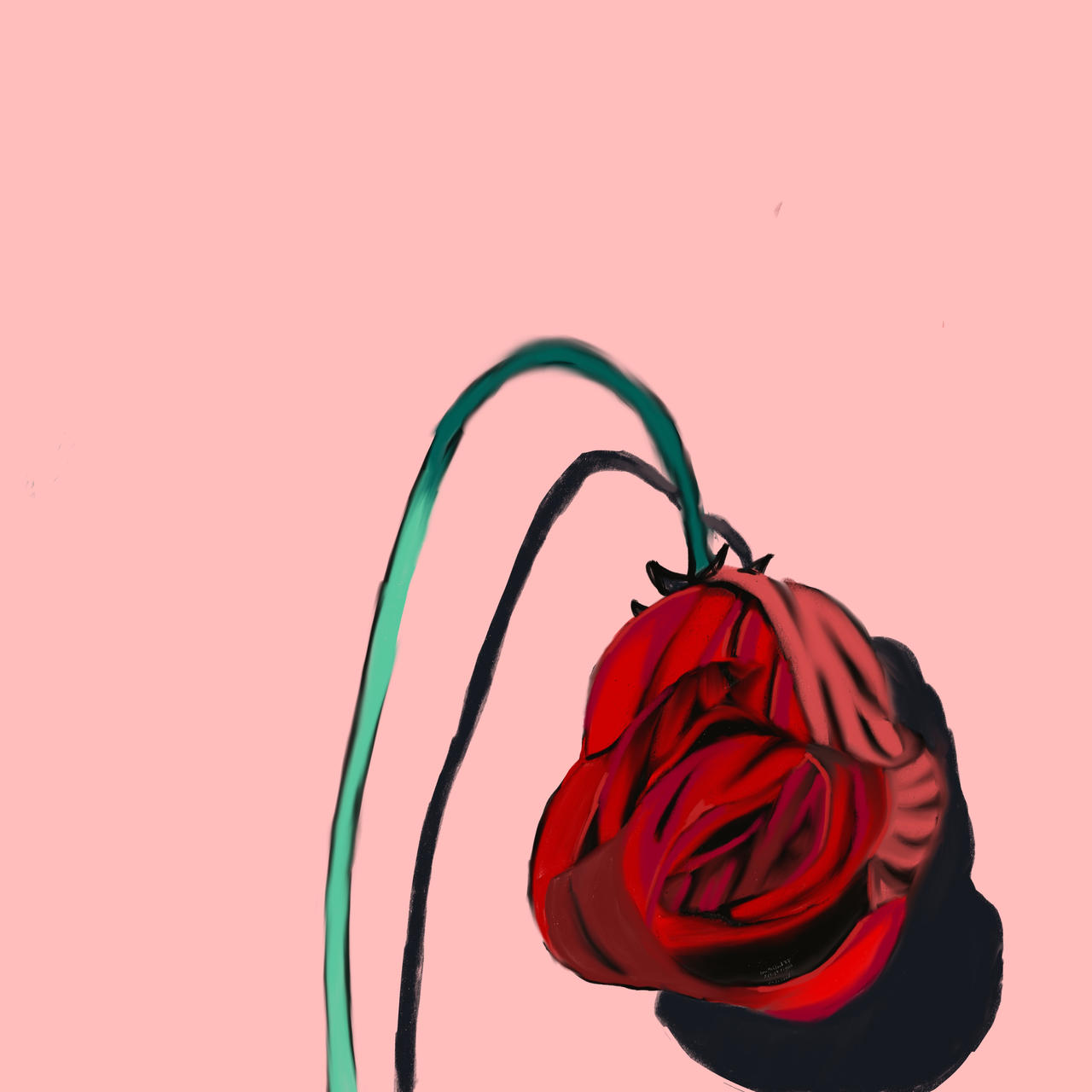 Dying Rose By Deonmccloud On Deviantart