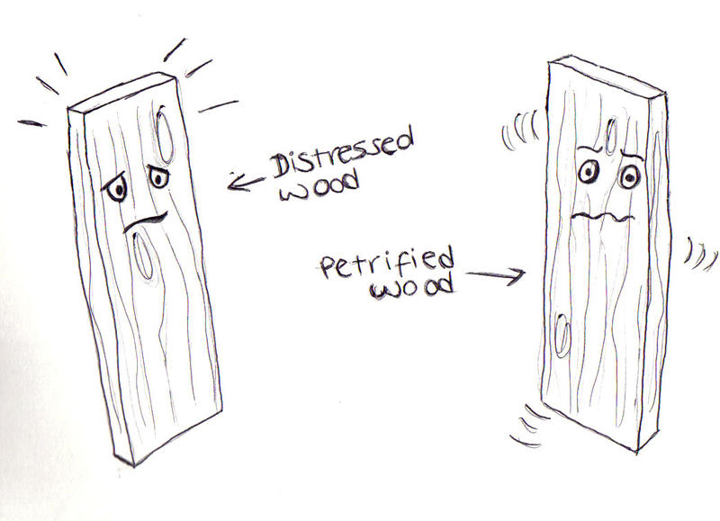 Types Of Wood By AprilFoolsDay On DeviantArt types-of-wood-by-aprilfoolsday-on-deviantart