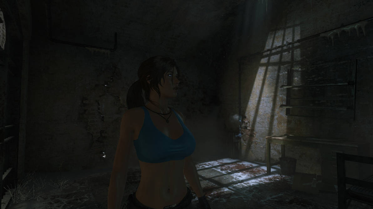 Rise Of The Tomb Raider Classic Skin By Victosaur On Deviantart