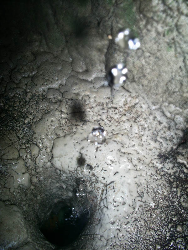 kapki by macfreeart on DeviantArt