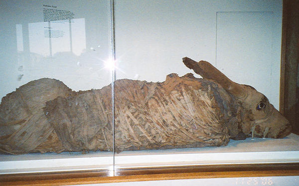 Bull Mummy by Mimi-chan17 on DeviantArt