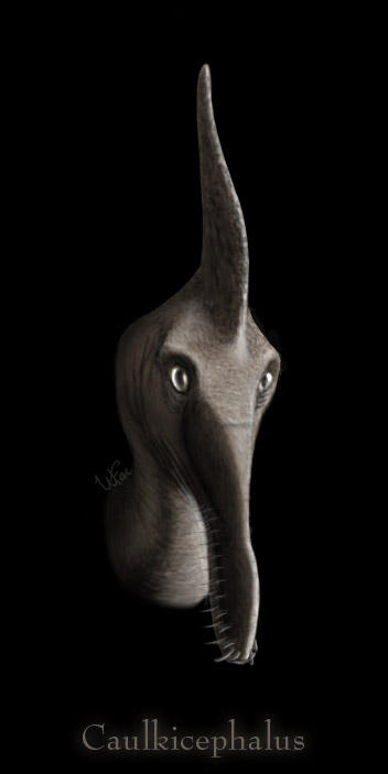 Caulkicephalus by Weatherfac on DeviantArt