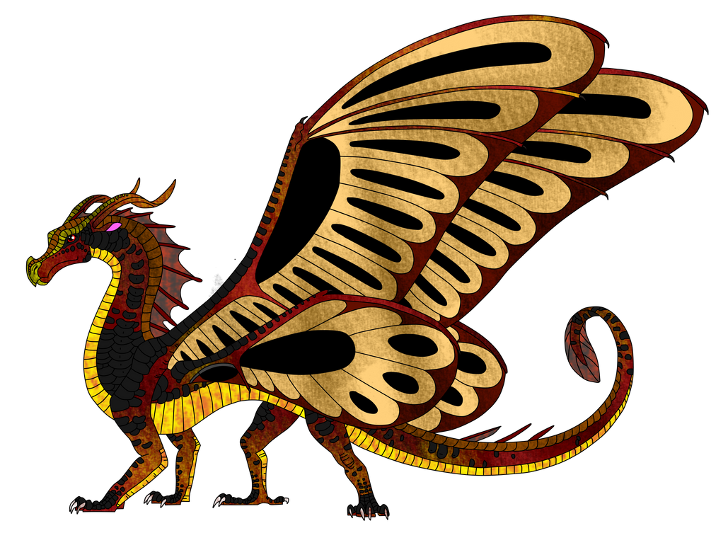 Phoenix Silkwing Leafwing Hivewing Hybrid by DuskShadow-Creations on ... Phoenix Silkwing Leafwing Hivewing Hybrid by DuskShadow-Creations on ...
