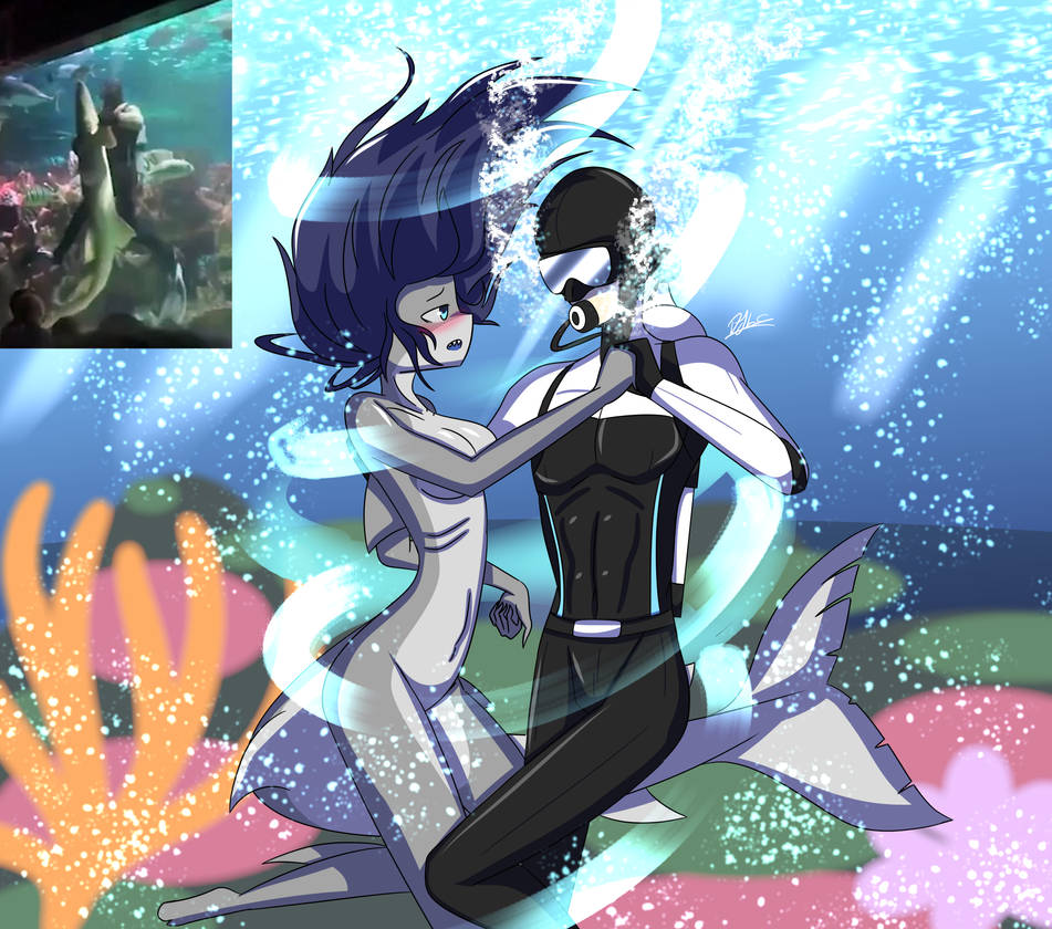 Scuba Diver Dancing With A Shark By Thisisdjlc On Deviantart