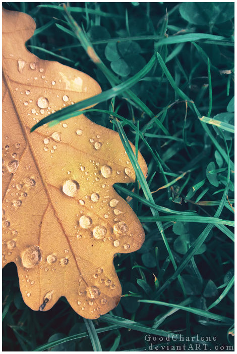 poetic fall by goodcharlene on DeviantArt