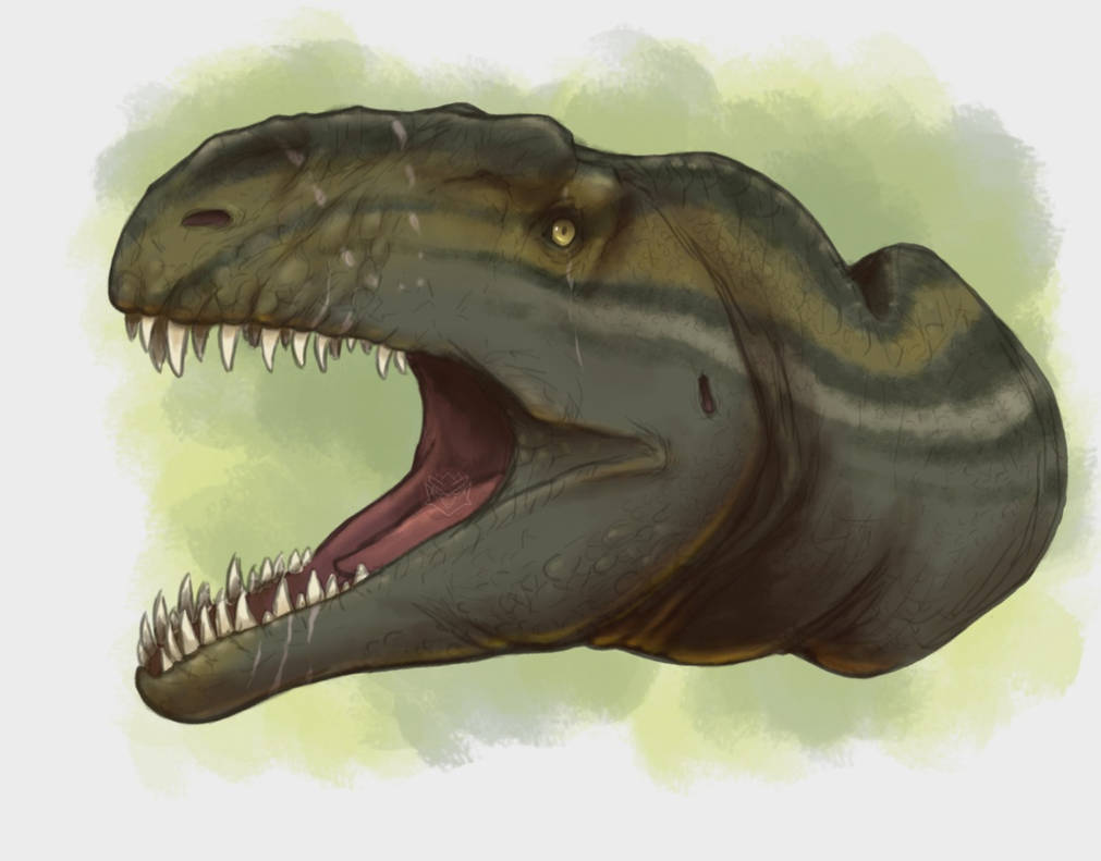 Asfaltovenator vialidadi by BangBooDoragon on DeviantArt Asfaltovenator vialidadi by BangBooDoragon on DeviantArt
