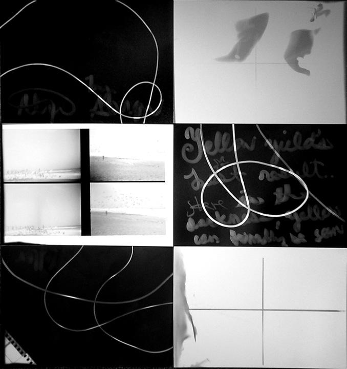 Photogram Study by Good-Looking-Kids on DeviantArt