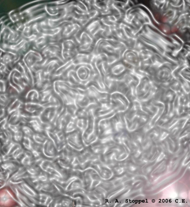 Human Conception: Bio-Step: 1 by RAStoppelJr on DeviantArt