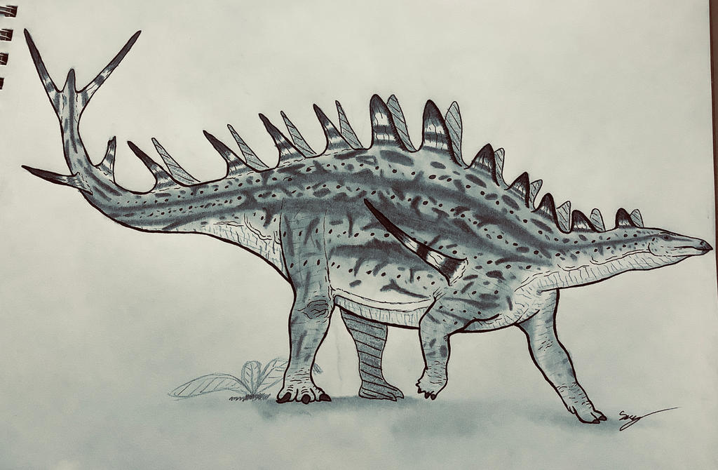 Kentrosaurus By Jurassicsean On Deviantart