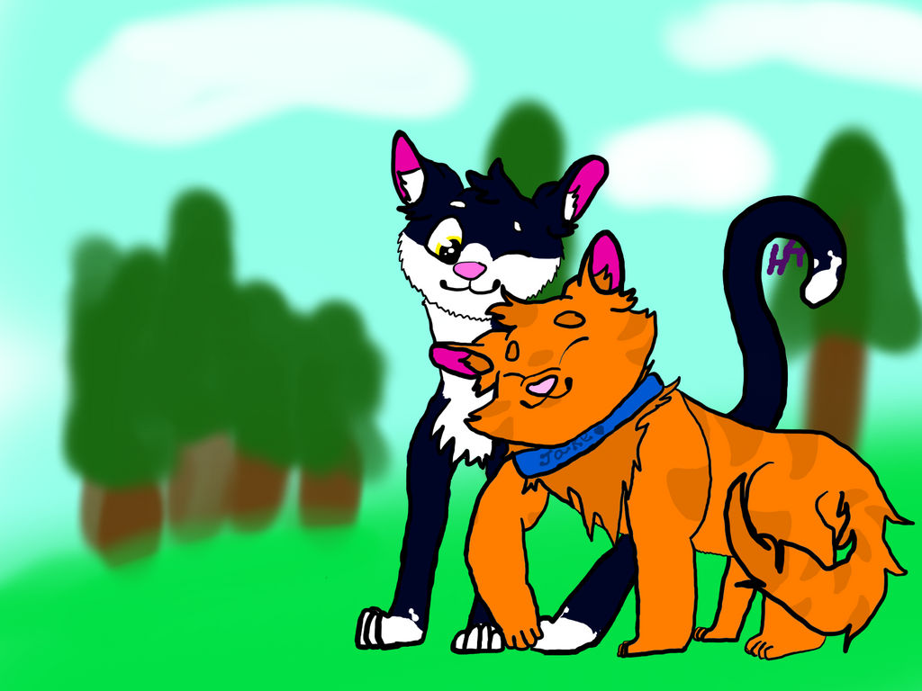 Jake X Tallstar By Healthyhusky On Deviantart