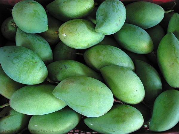 Mangoes Chest by virgil17 on DeviantArt