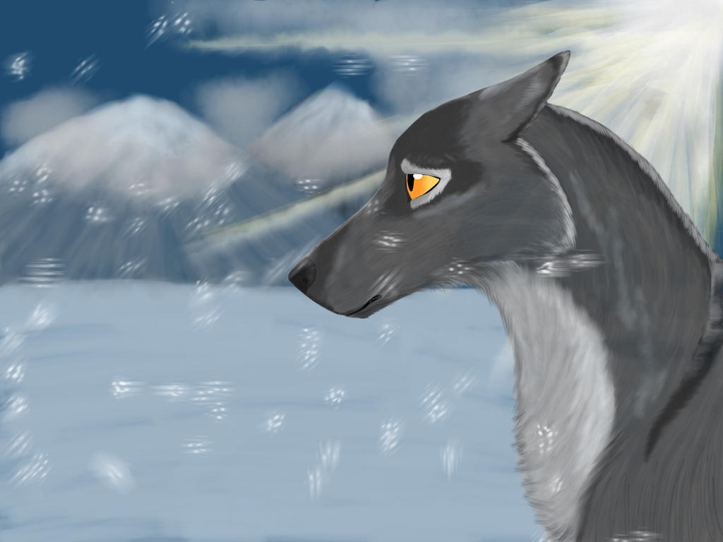 Sad Anime Wolf By Mistilda321 On Deviantart