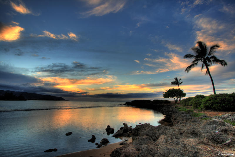 Palms Away By Sharkywaters On Deviantart