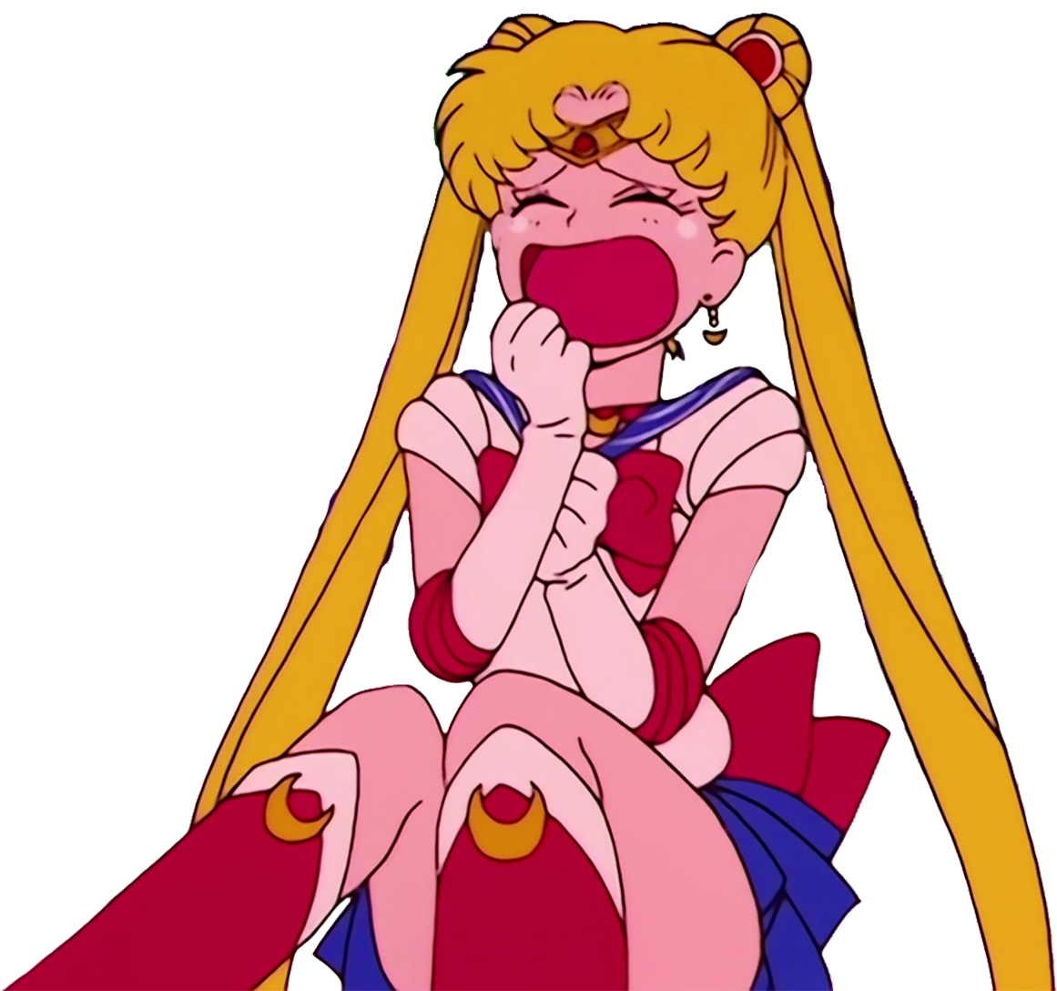 Sailor Moon Crying Vector By Homersimpson1983 On Deviantart