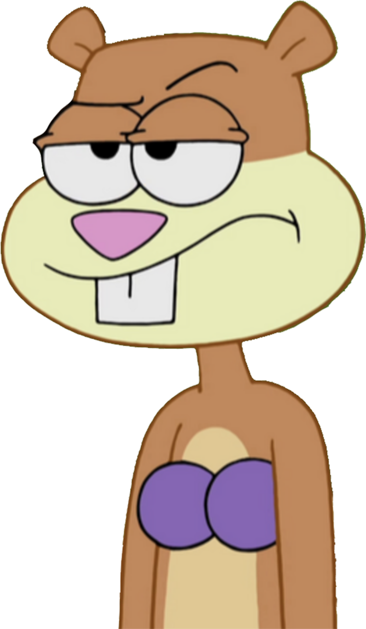 Sandy Cheeks Concered Vector By Homersimpson1983 On Deviantart