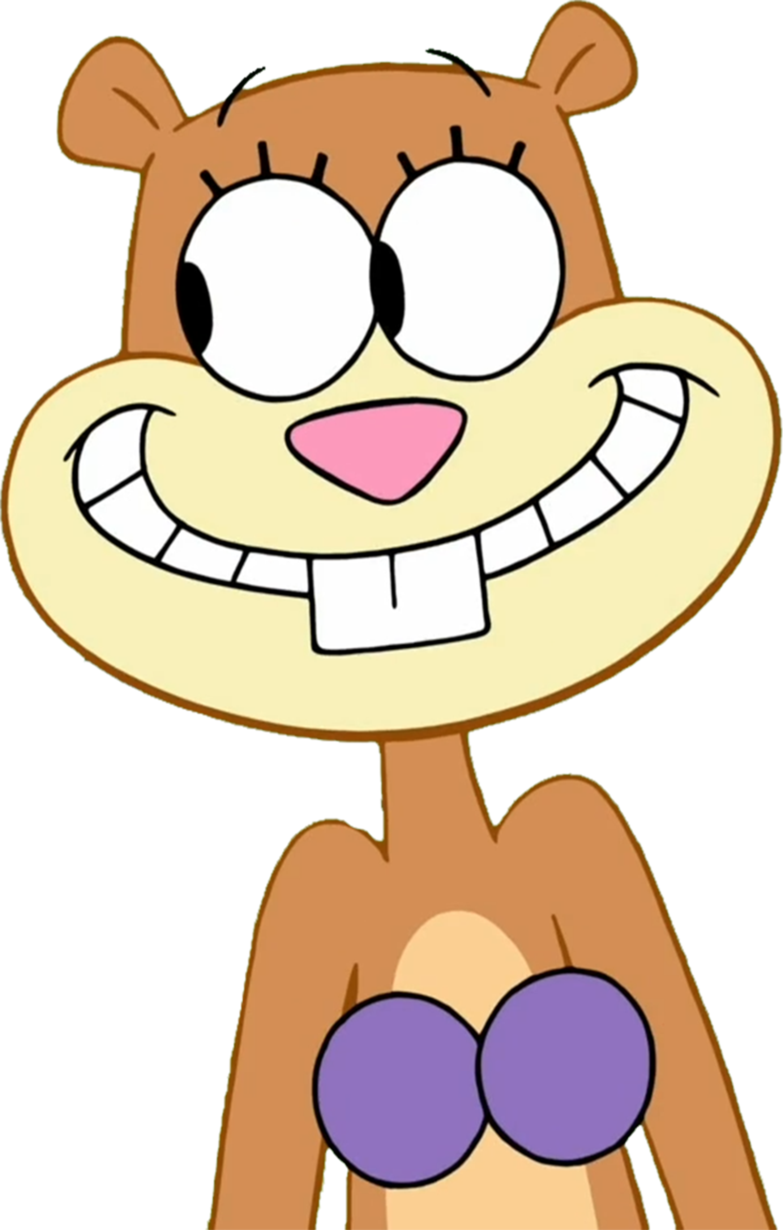 Sandy Cheeks Vector 20 By Mrtoonlover83 On Deviantart