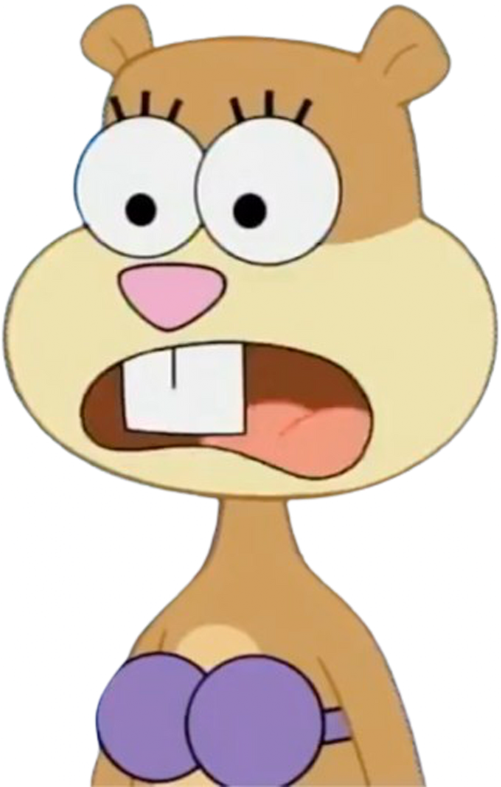 Sandy Cheeks Vector 31 By Mrtoonlover83 On Deviantart