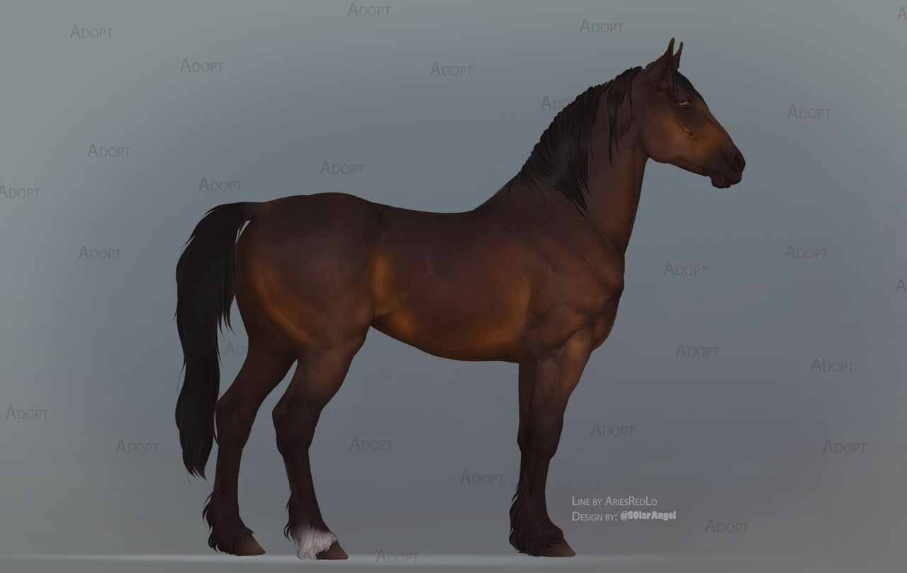 Horse Adopt (OPEN) by S0larAngel on DeviantArt Horse Adopt (OPEN) by S0larAngel on DeviantArt