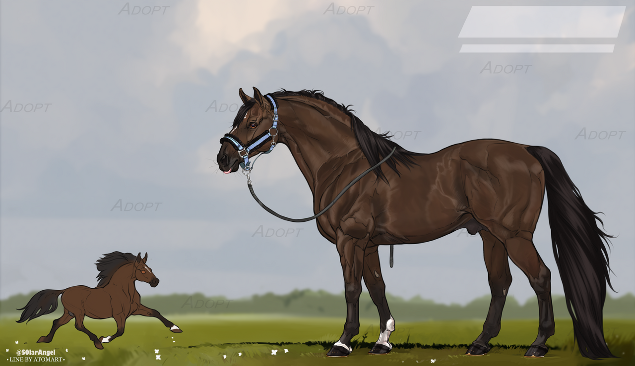 Horse Adopt(open) by S0larAngel on DeviantArt Horse Adopt(open) by S0larAngel on DeviantArt