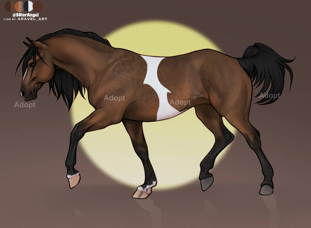 Horse Adopt(open) by S0larAngel on DeviantArt Horse Adopt(open) by S0larAngel on DeviantArt