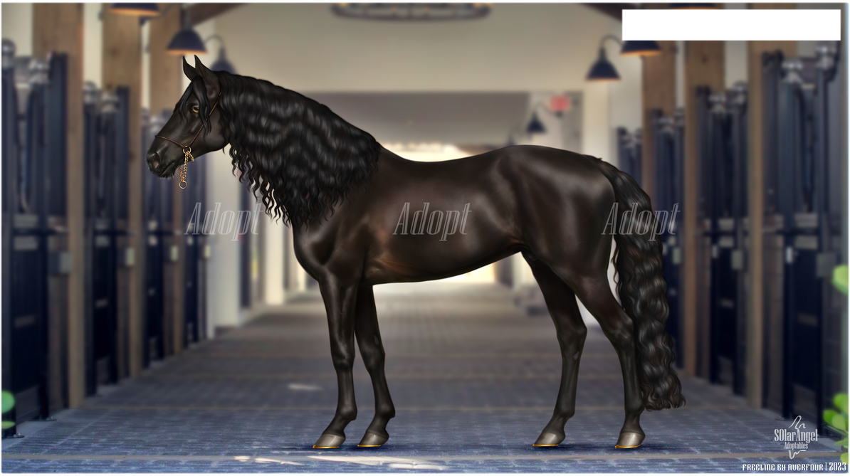 Horse Adopt(OPEN) by S0larAngel on DeviantArt Horse Adopt(OPEN) by S0larAngel on DeviantArt