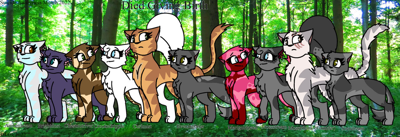 All Cats That Died Giving Birth by Wistparrian72 on DeviantArt All Cats That Died Giving Birth by Wistparrian72 on DeviantArt