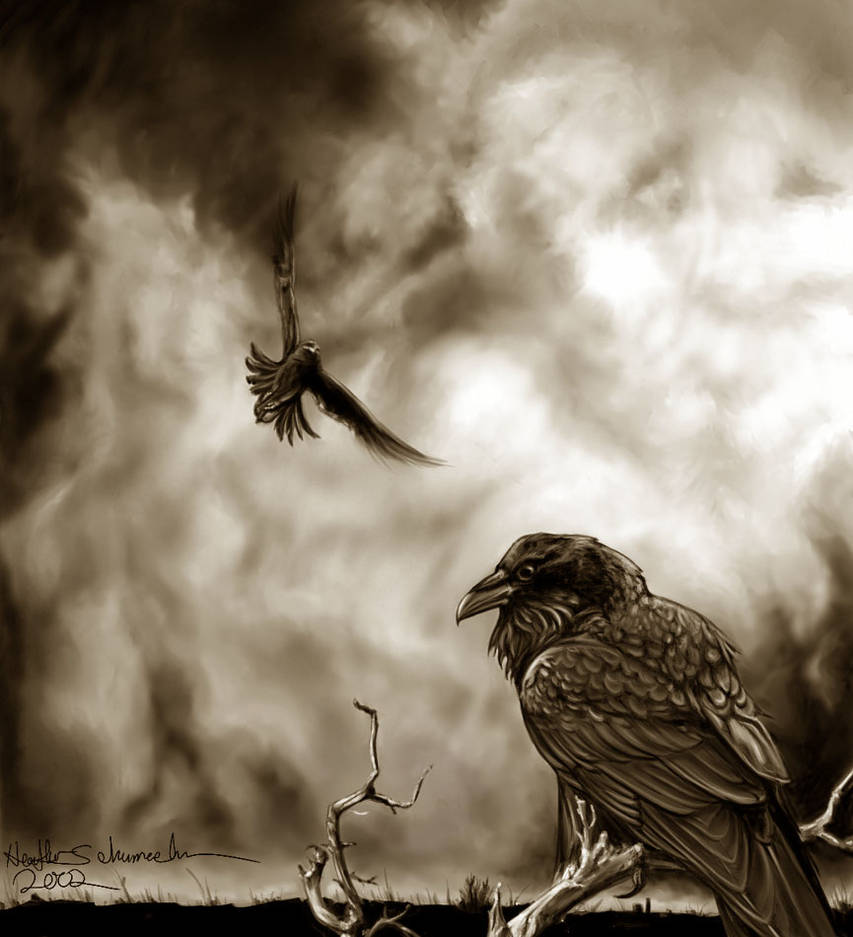 The Raven's Storm by Novawuff on DeviantArt