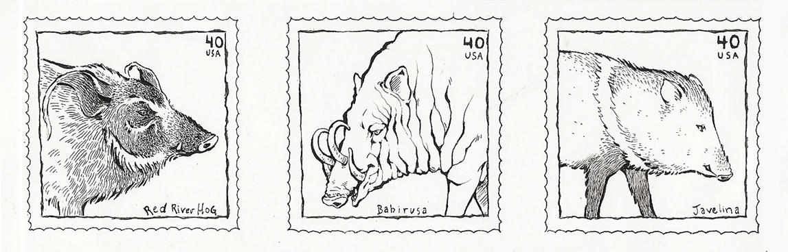 assignment - wild pig stamps by luve on DeviantArt