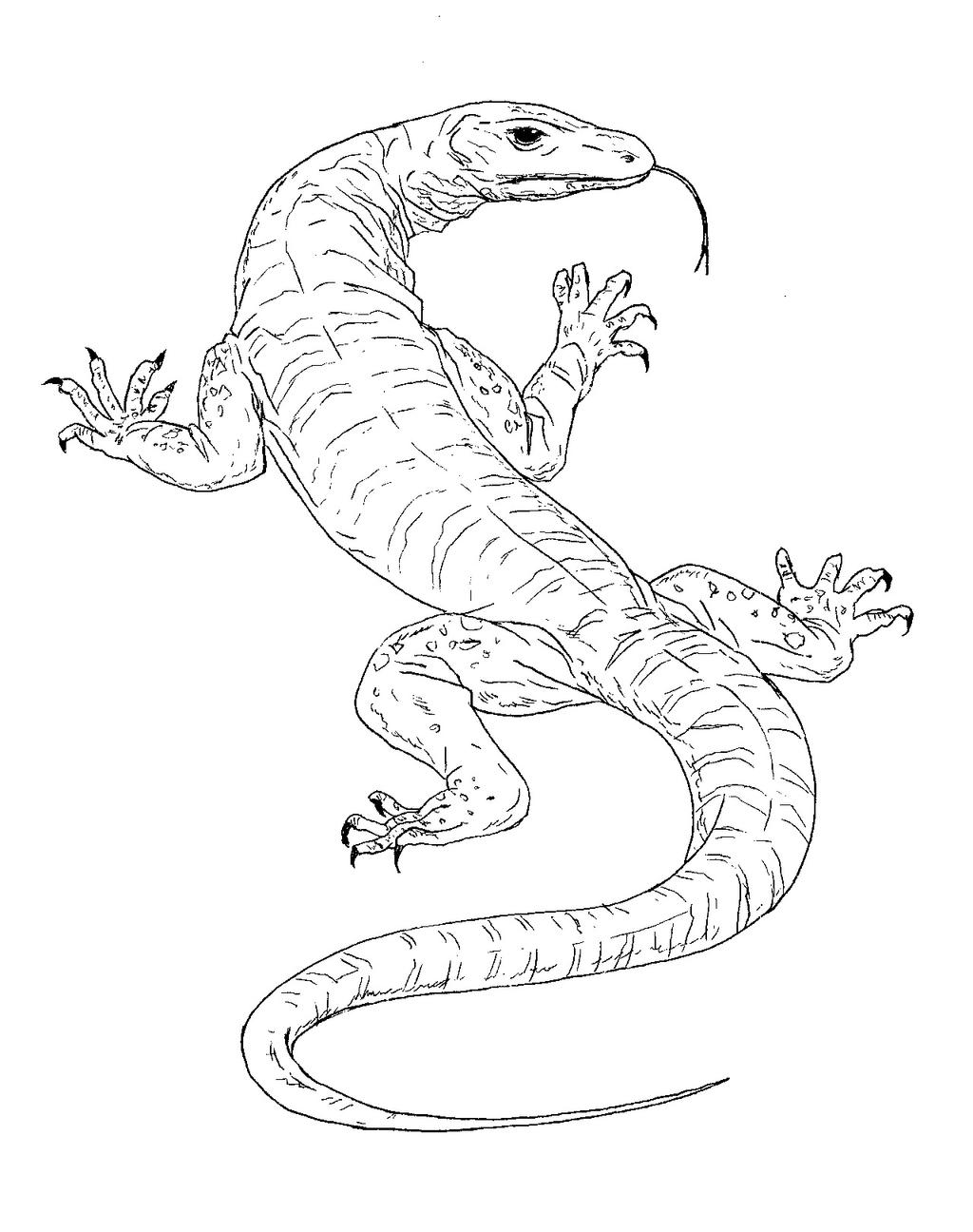 Goanna Illustration By John D Salvatore On Deviantart