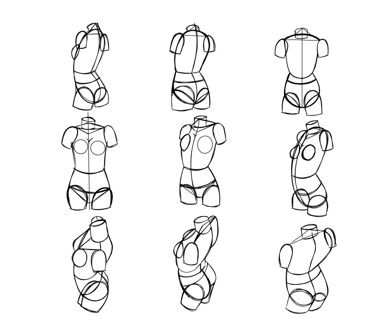 Female Upper Torso Guide By Orionspade On Deviantart