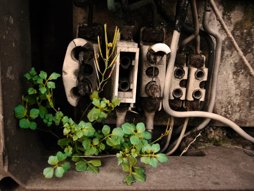 Vita ex machina by Dystopia-Maxima on DeviantArt Vita ex machina by Dystopia-Maxima on DeviantArt