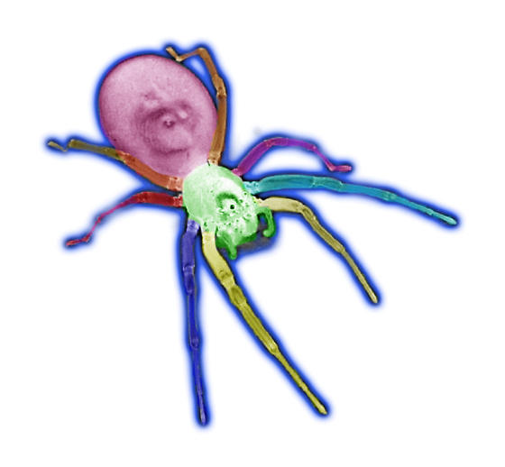 radioactive spider by Esdenoche on DeviantArt