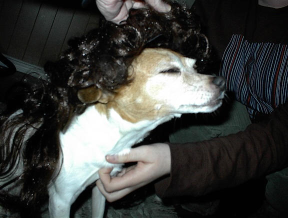 sandy's hair by lostinpunk on DeviantArt