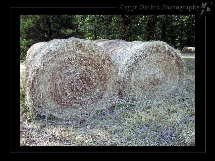 Hay Bale by DanceswithDaemons on DeviantArt