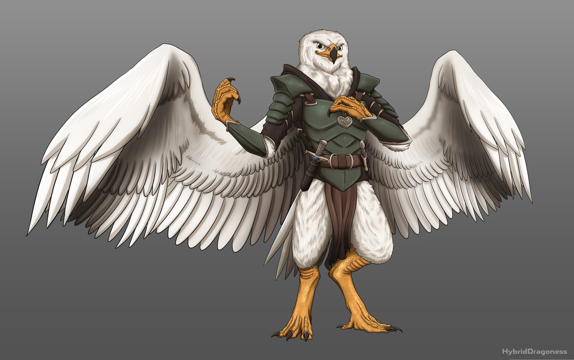 Commission Eequee The Aarakocra By Hybrid Dragoness On Deviantart