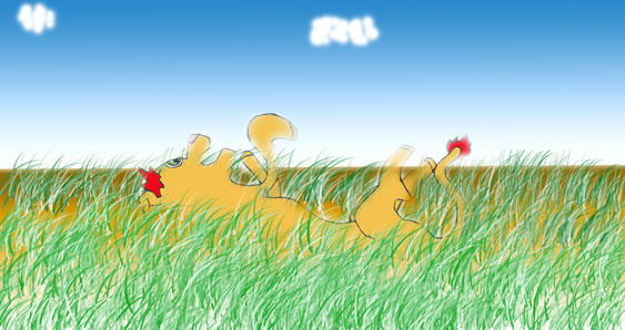 Simba In the Grass by Wildshadowfur on DeviantArt