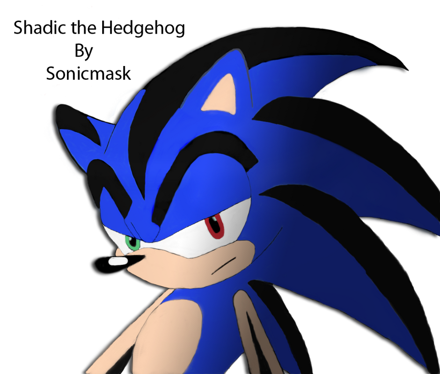 Sonicmasks 500 Pageview Drawing By Sonicmask On Deviantart