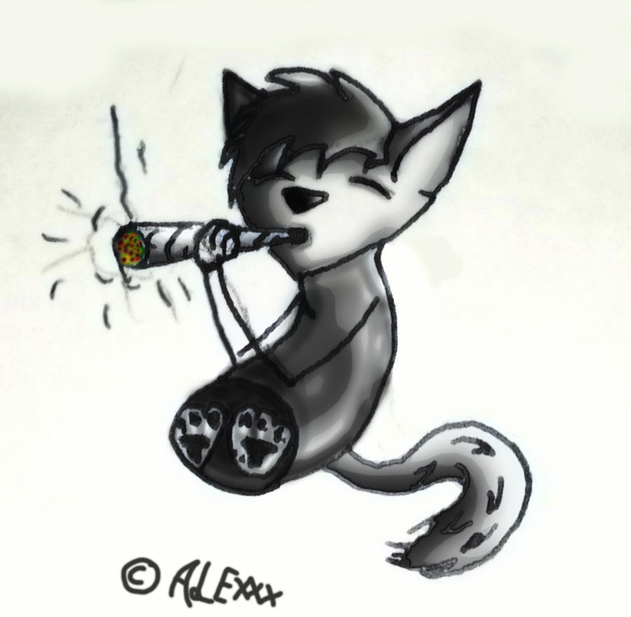 Stoned Kitty By Alexxxthedudexxx On Deviantart