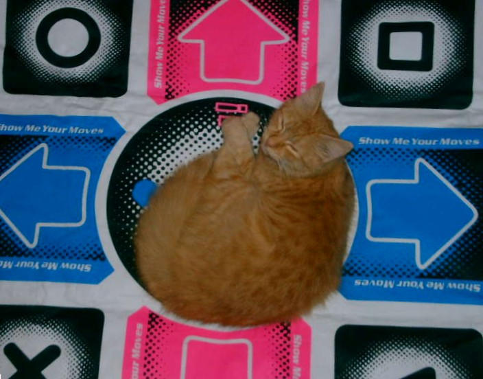 DDR Kitty by Haddix on DeviantArt