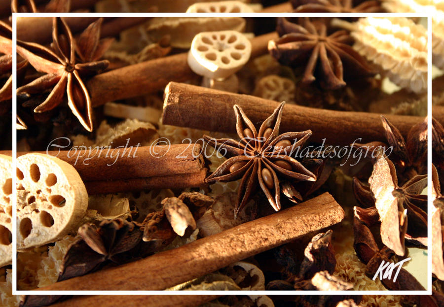 Mantlepiece Treasures - 3 by Tenshadesofgrey on DeviantArt