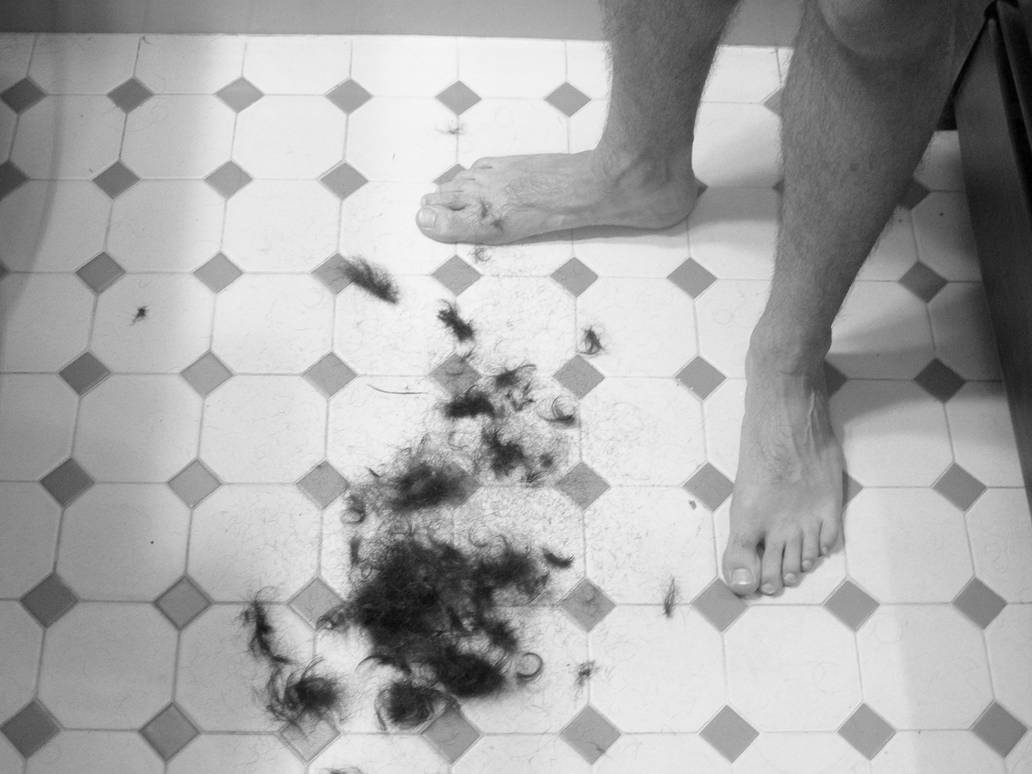 Groomed by Knopka on DeviantArt