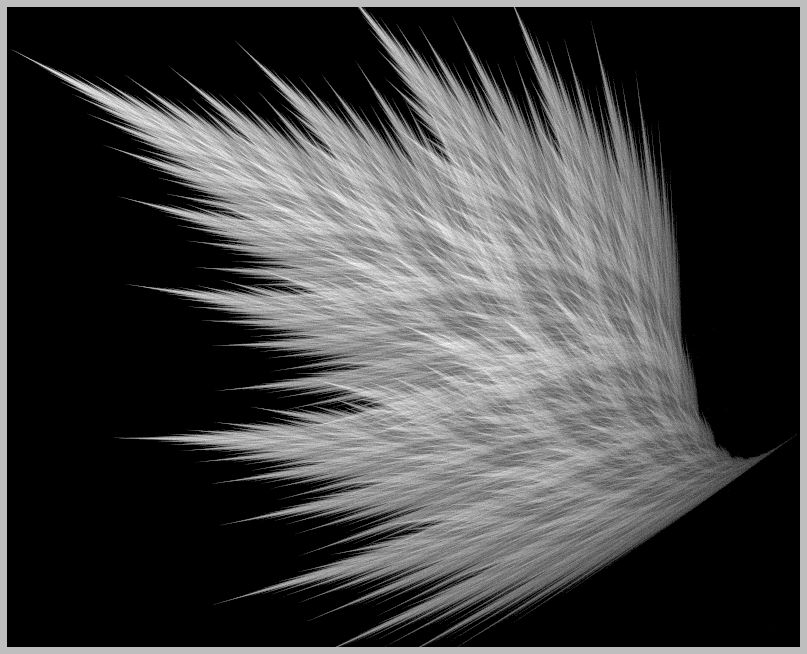 Wing Of A Snow White Dove By Sparx222 On Deviantart