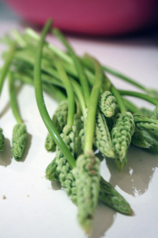 asperge by w-zynp on DeviantArt