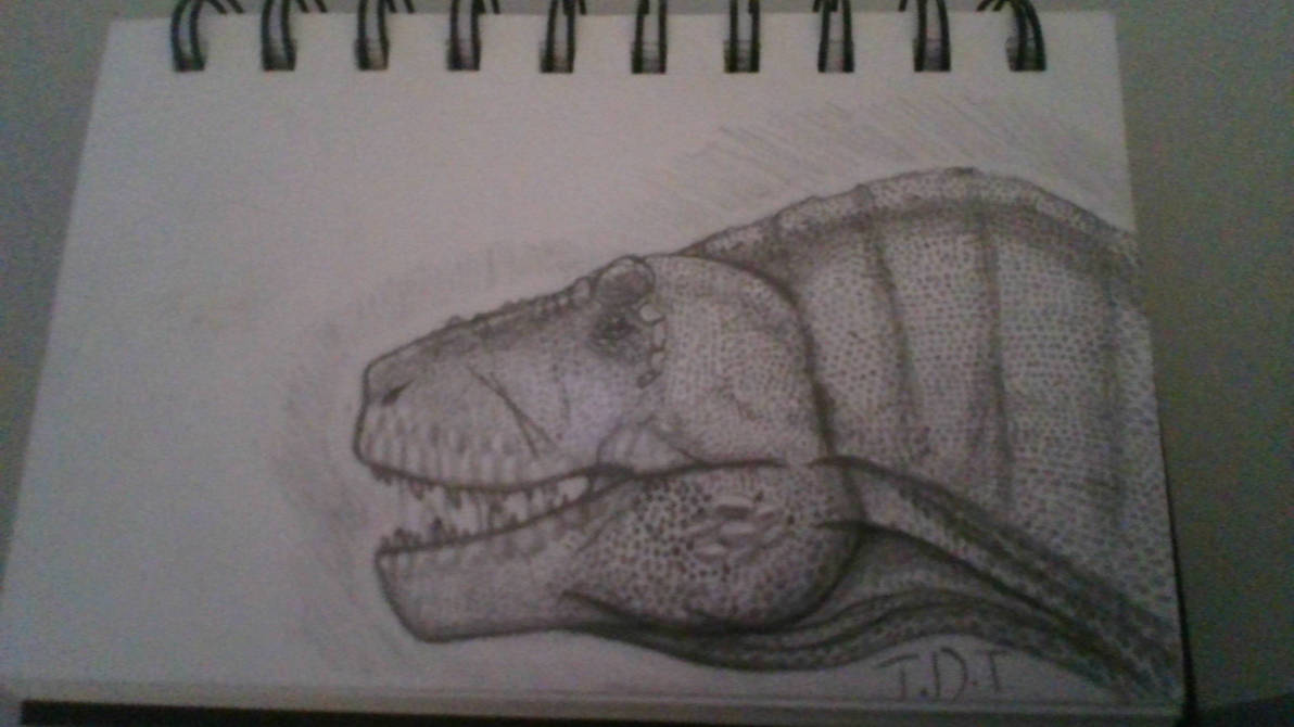 Sue Redesign by TDTas on DeviantArt Sue Redesign by TDTas on DeviantArt