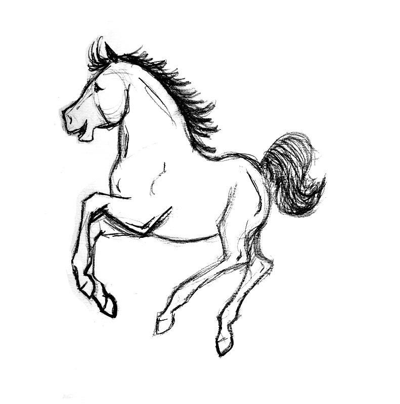 Doodles 2 by FantasticFailure on DeviantArt